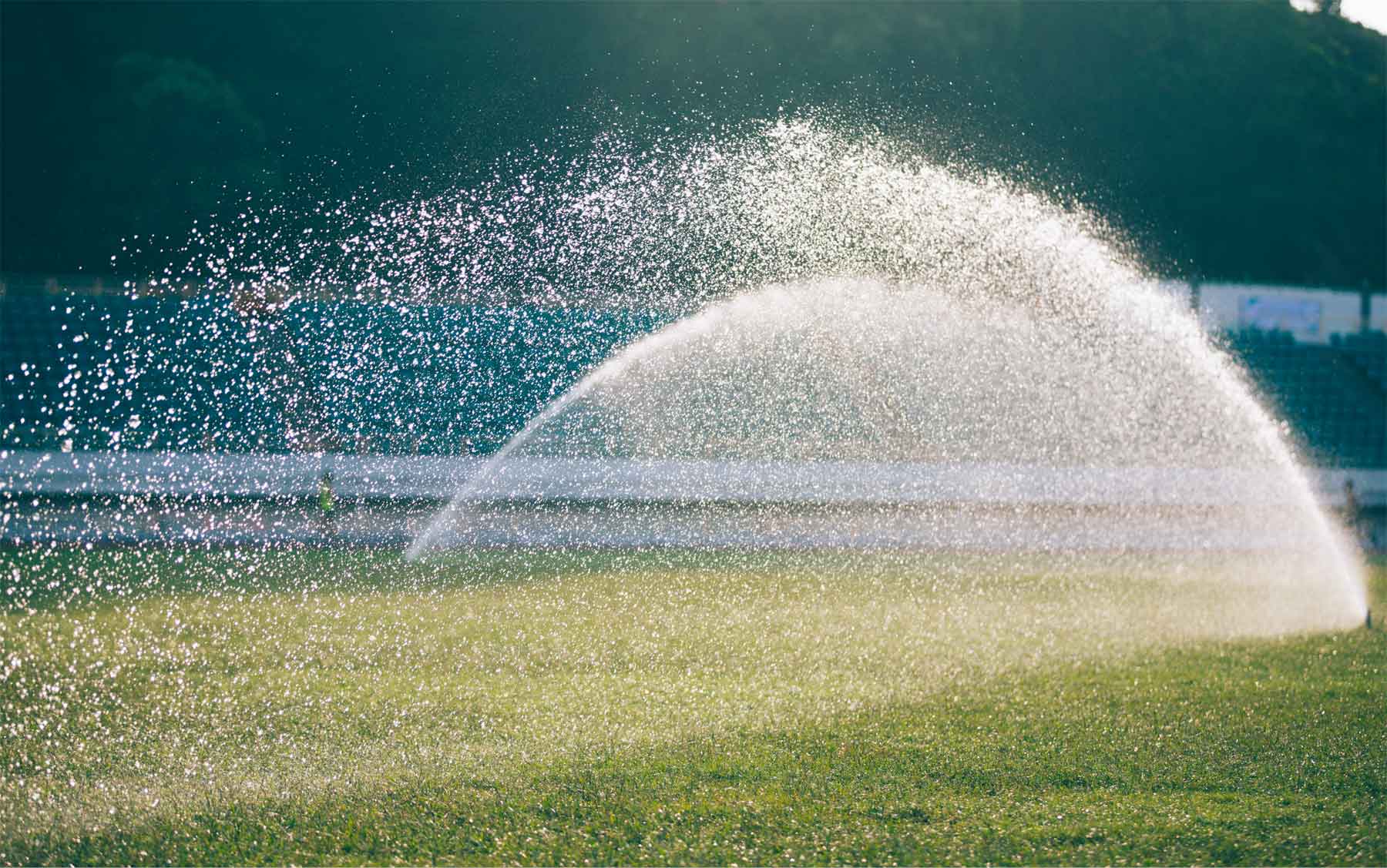 Quel arrosage est idéal pour votre jardin en été ? - VGD